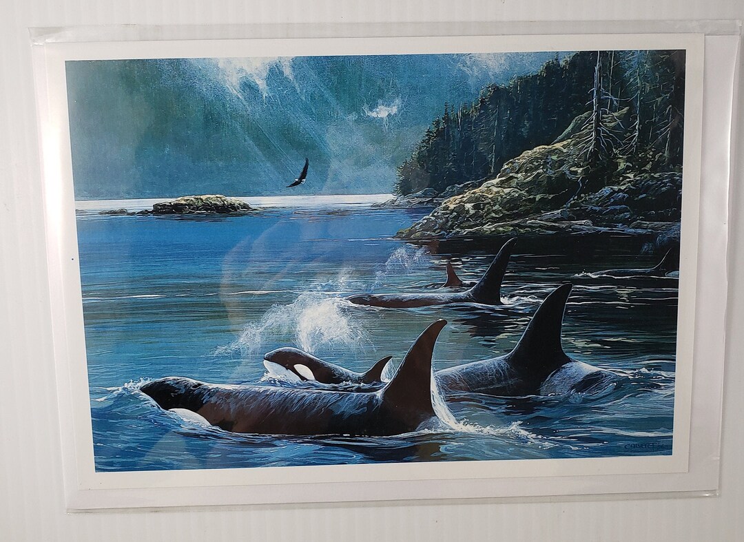 New "killer Whales" Art Card by Artist Lissa Calvert 6"x9" Made in ...