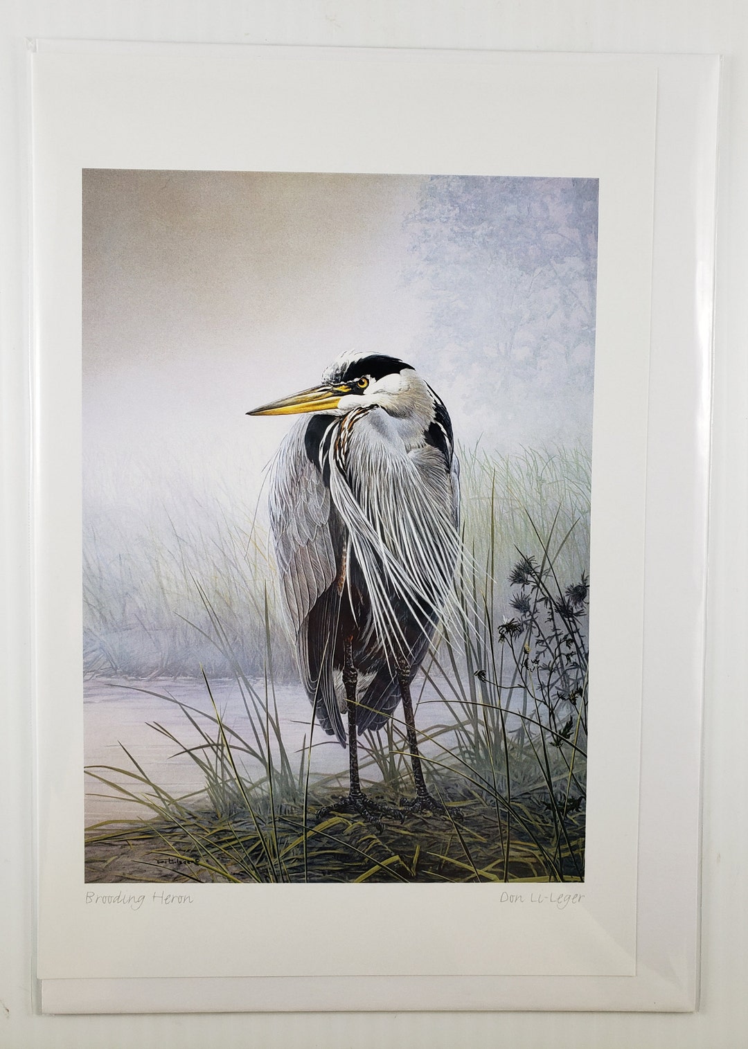 New "heron & Sandpiper" Wildlife Art Card by Artist Don Li-leger 6"x9 ...