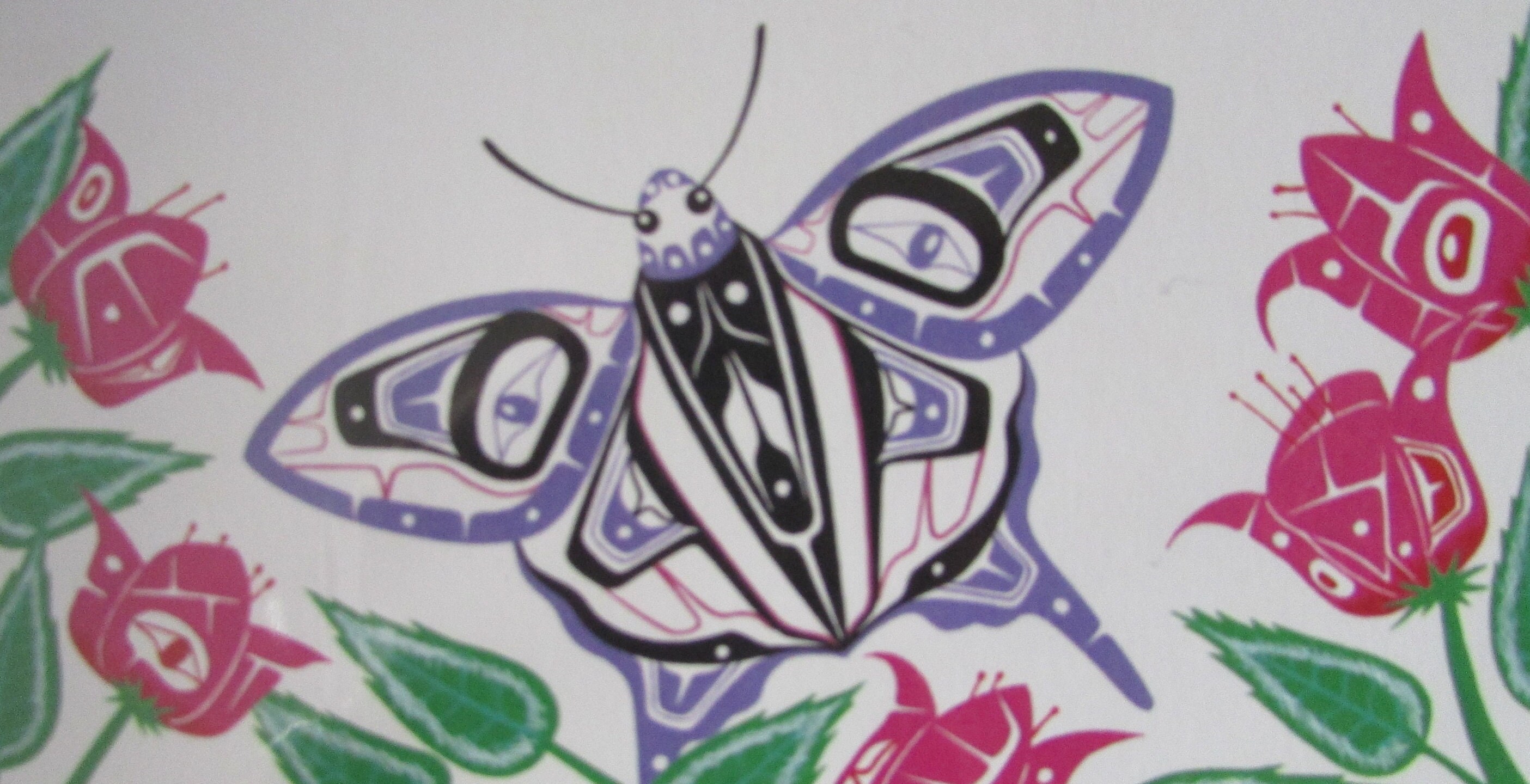 New "new Life" Art Card by Native Artist Terrance Shorty 6"x9" Card W ...