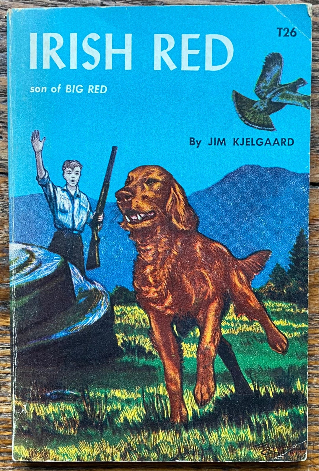 Irish Red, Son of Big Red, Jim Kjelgaard, Scholastic Book Services ...