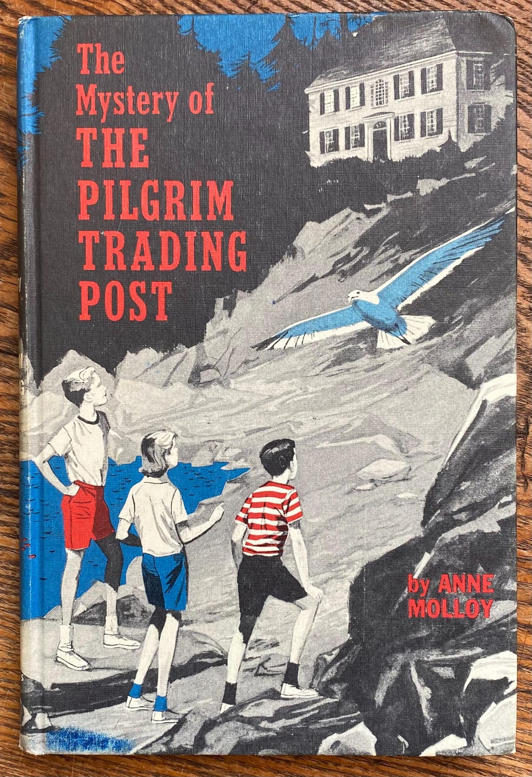 The Mystery of the Pilgrim Trading Post: 1964 Vintage Children's Book ...