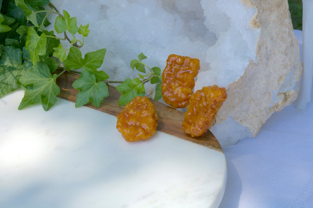 Nuggy Buddy Refrigerator Magnet (real Preserved Chicken Nugget) - Etsy