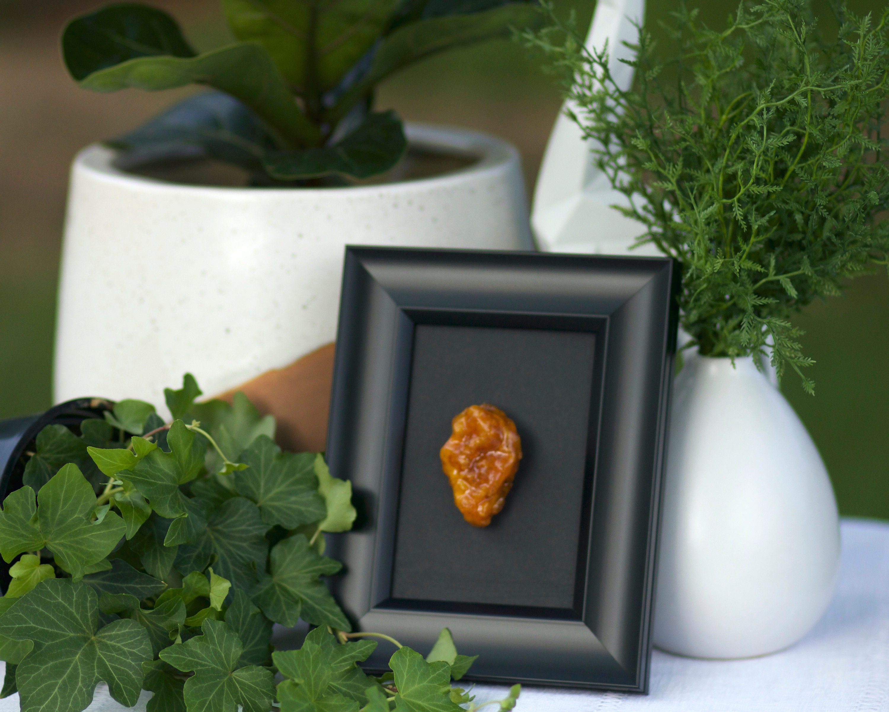 Nugget in A Frame (real Preserved Chicken Nugget) - Etsy