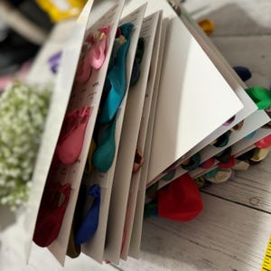 Color Portfolio Book - TUFTEX, Sempertex, Kalisan, Gemar Balloons - Etsy