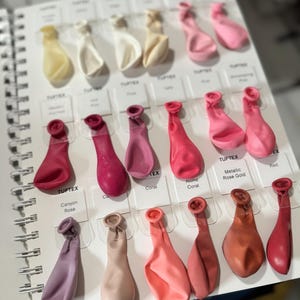 Color Portfolio Book - TUFTEX, Sempertex, Kalisan, Gemar Balloons - Etsy