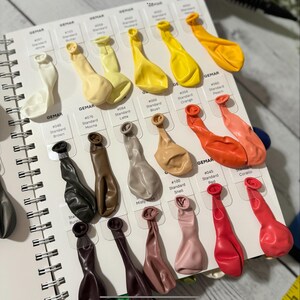 Color Portfolio Book - TUFTEX, Sempertex, Kalisan, Gemar Balloons - Etsy