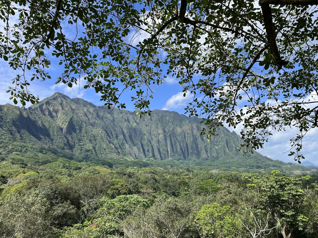 Hawaii's Ko'olau Mountain Range, Hawaii Landscape Photography, Tropical ...