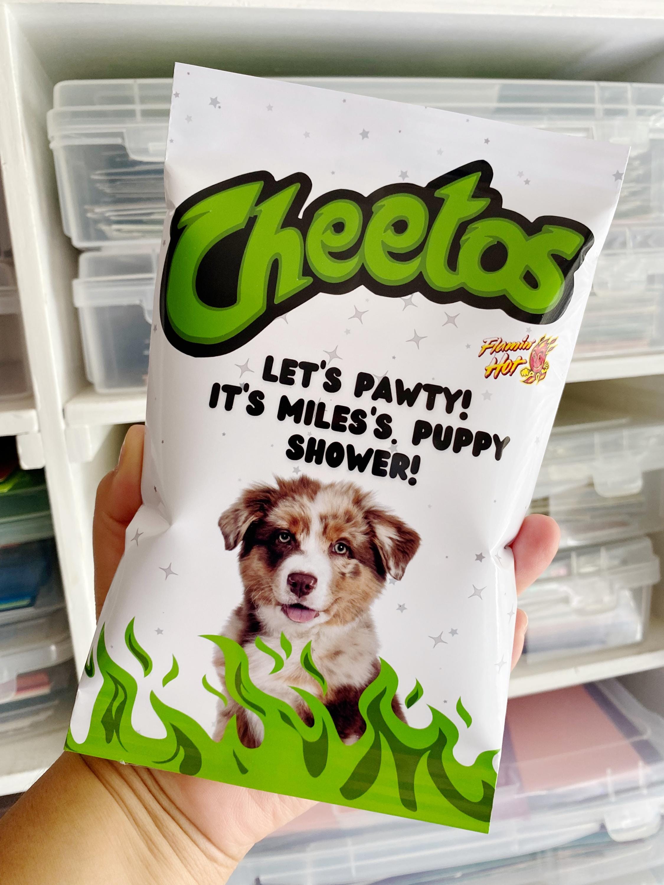 Custom Chip Bags, Birthday Chip Favors, Personalized Chip Bag ...