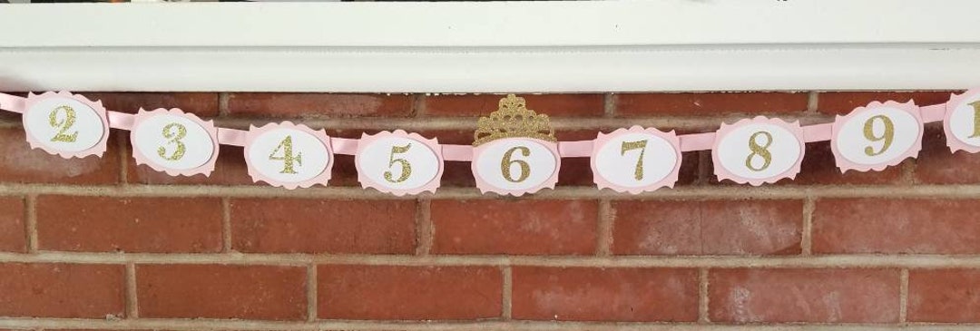 12 Month Photo Banner, Pink and Gold, Princess 12 Month Banner Theme ...