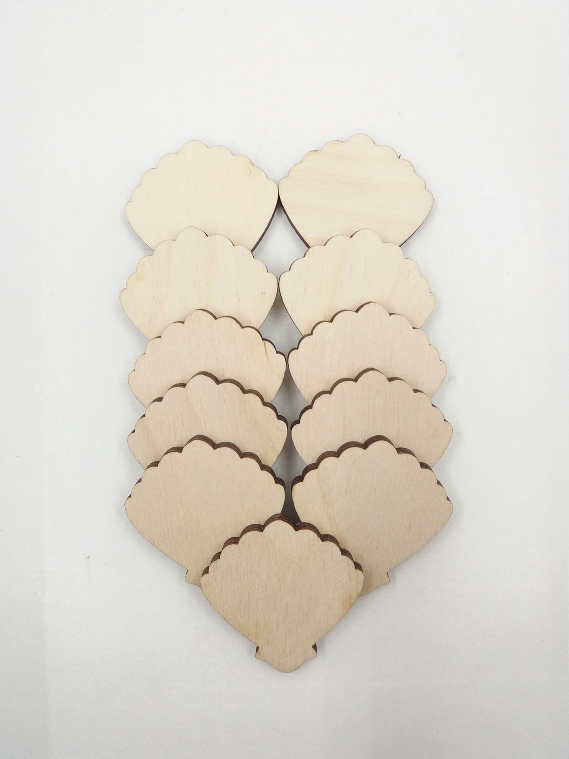 10 Seashell Wooden Laser Cut Wood Shape Seashell - Etsy