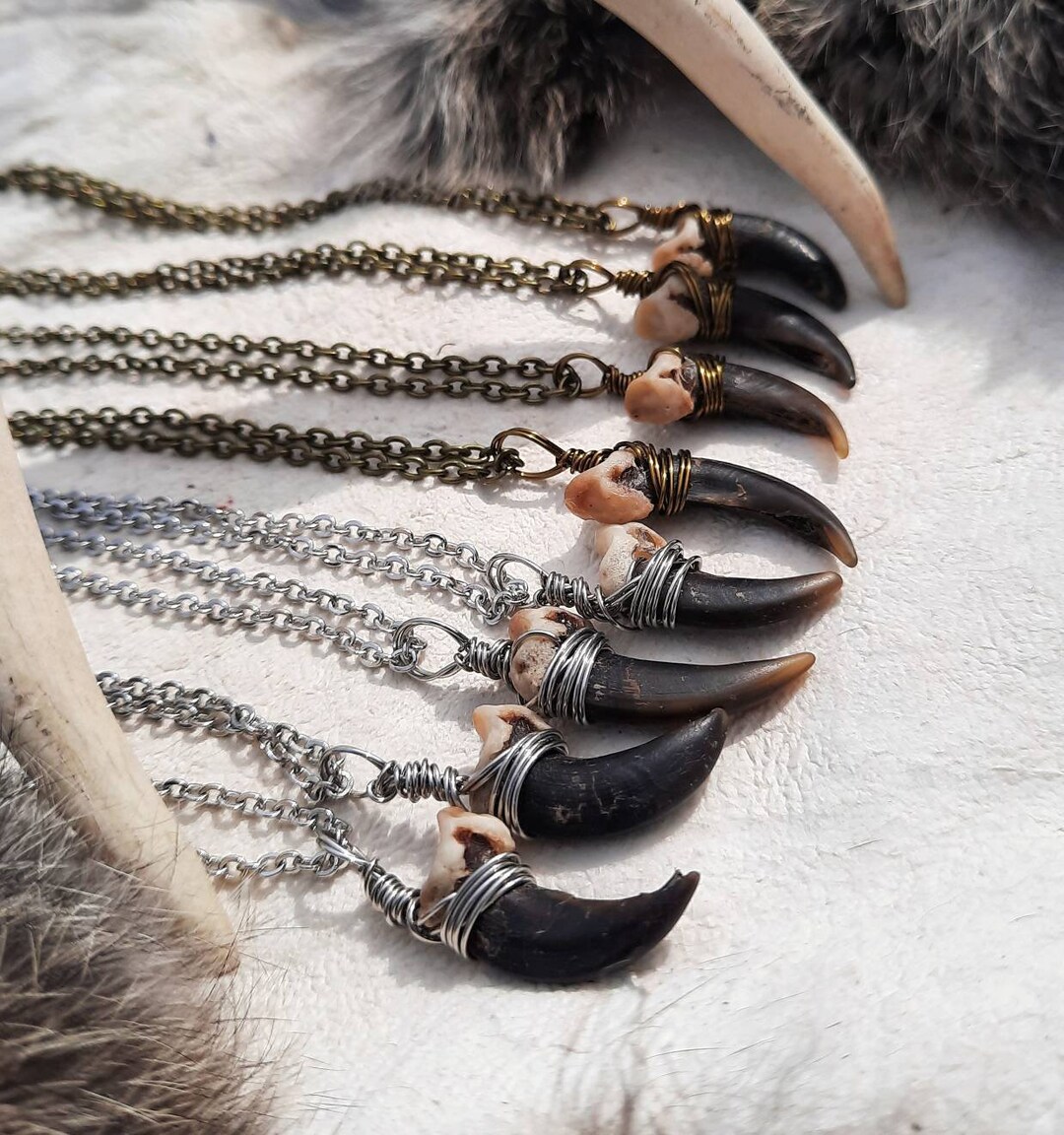 Coyote Claw Pendant Necklace - Etsy