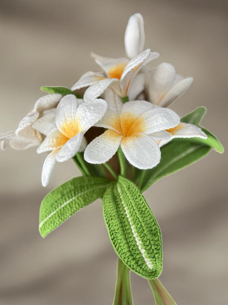 Plumeria Crochet Pattern: Realistic Frangipani Flower Tutorial- Beginner Friendly (PDF Download ...