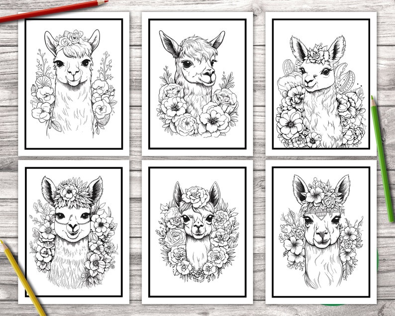 50 Cute Llama Alpaca Coloring Book for Kids and Adults Llamas Coloring ...