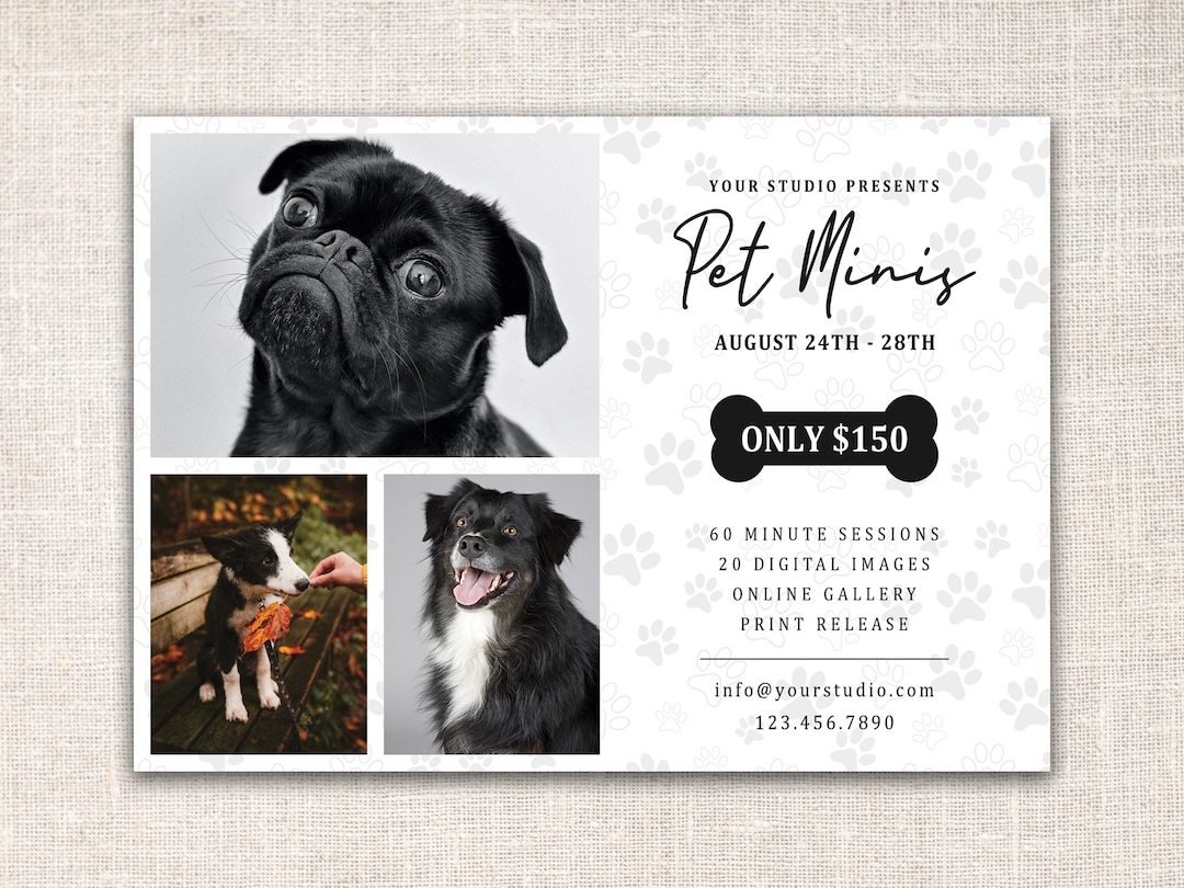 PET Mini Session Template | Animal Mini Sessions | Pets Photography ...