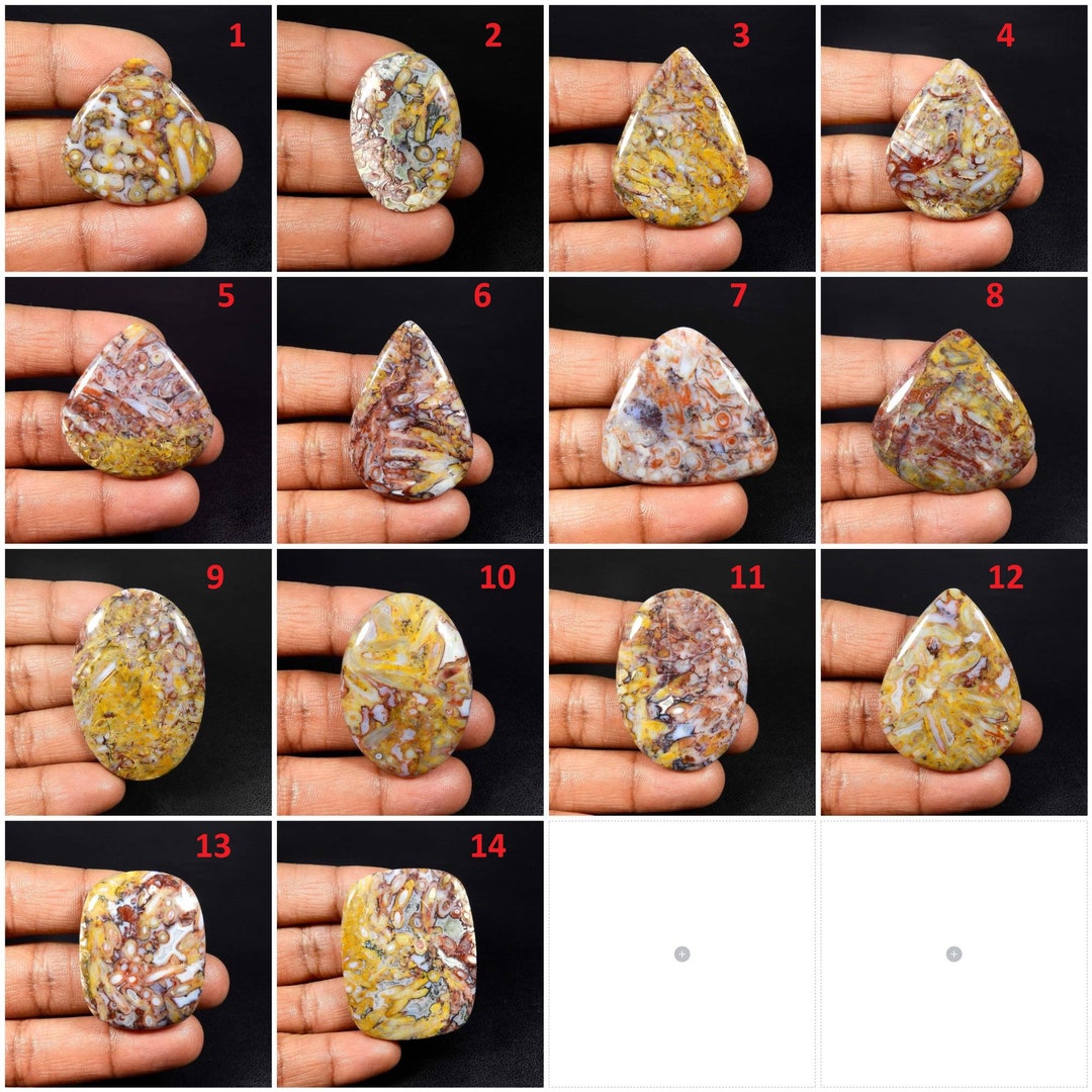 Natural Palm Root Agate Gemstone. Palm Root Agate Fossilised. Toppest ...