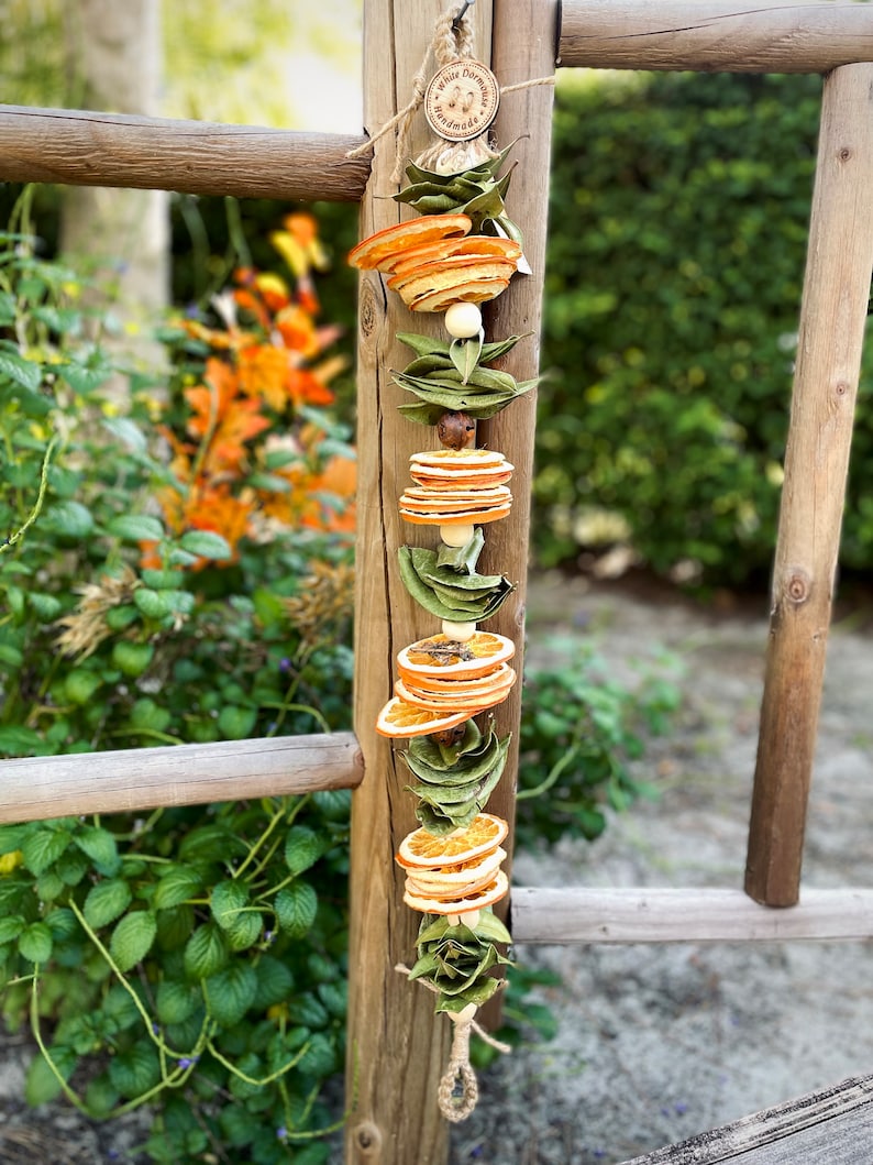 Dried Fruit Garland Handmade Baked Orange Slices Lemon Bay Rum Leaves ...