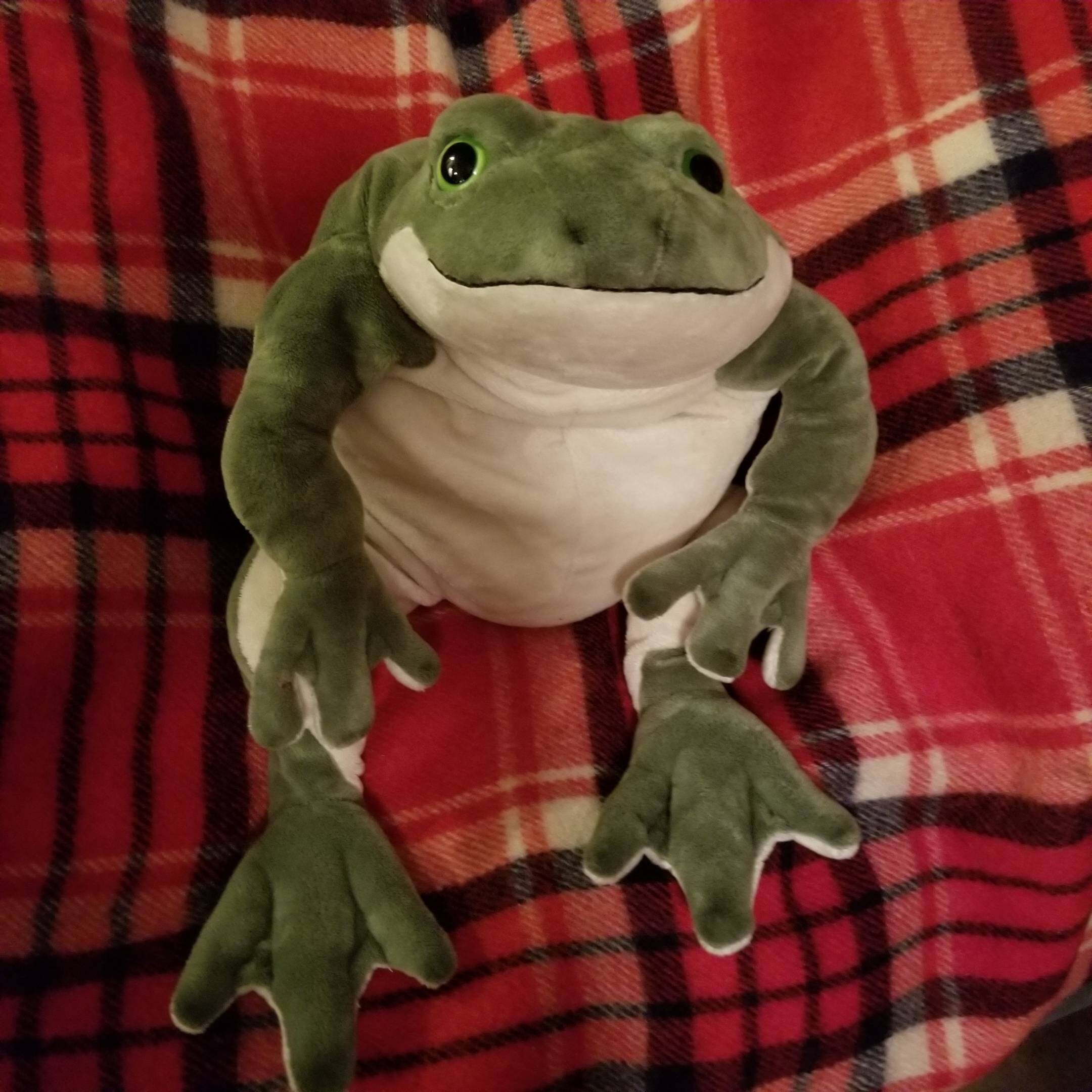 Gund Patches Frog BABY GUND DOTTIE Dots Green Frog Plush $32.80