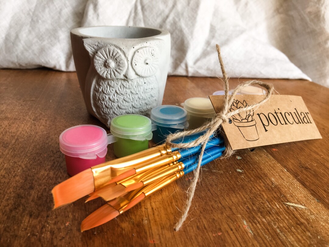 DIY Pottery Painting Kit, Succulent Planter Kit, Virtual Paint and Sip ...