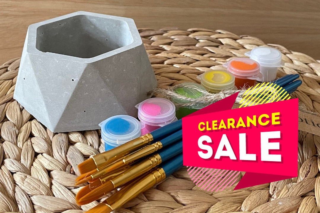 DIY Pottery Painting Kit Succulent Planter Kit Virtual Paint - Etsy