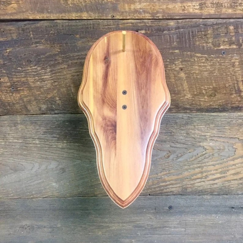 Oak & Cedar European Mount Wall or Table Interchangeable - Etsy