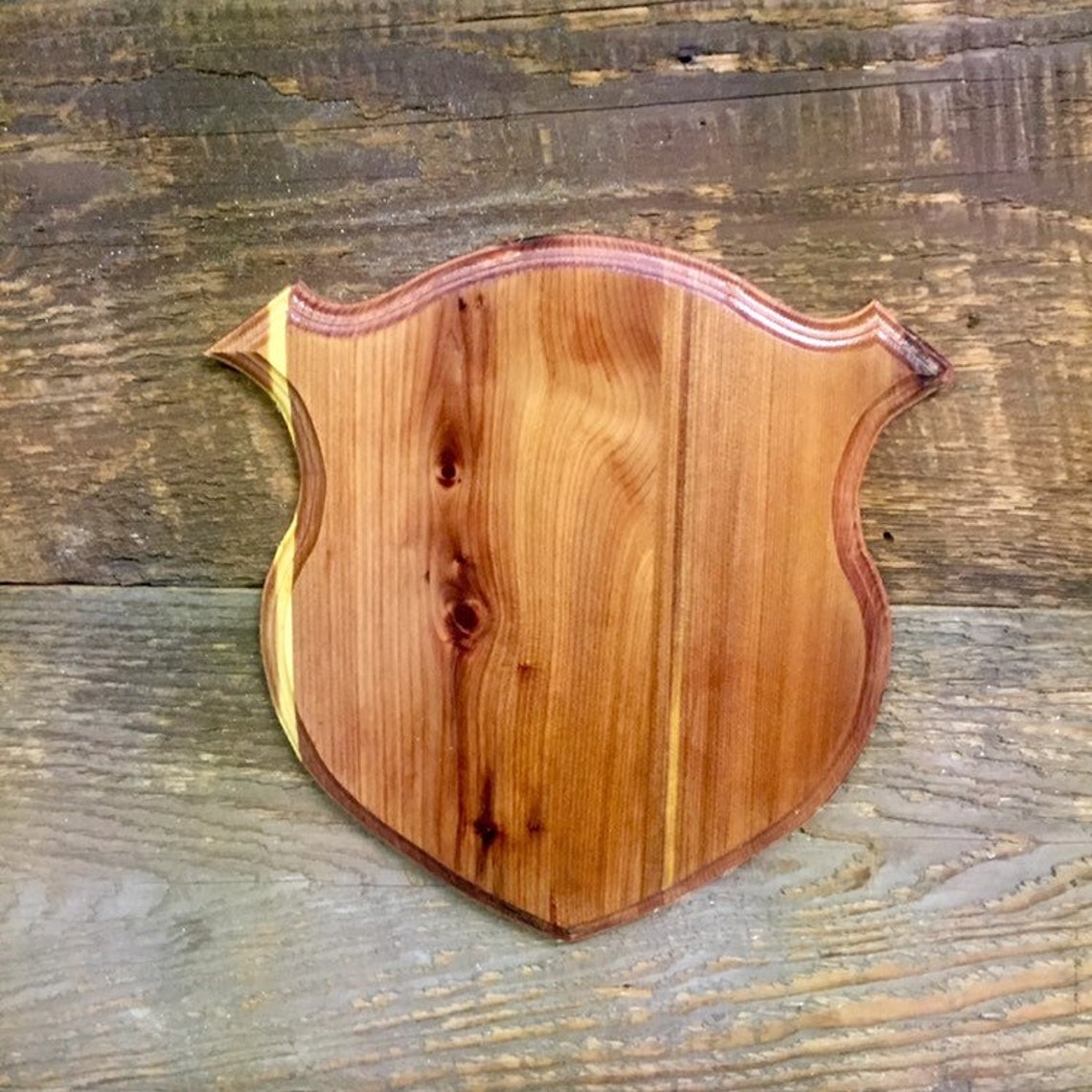 Deer Plaques Cedar & Oak Shield Taxidermy Mounting - Etsy
