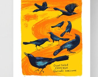 Grackle Art - Etsy