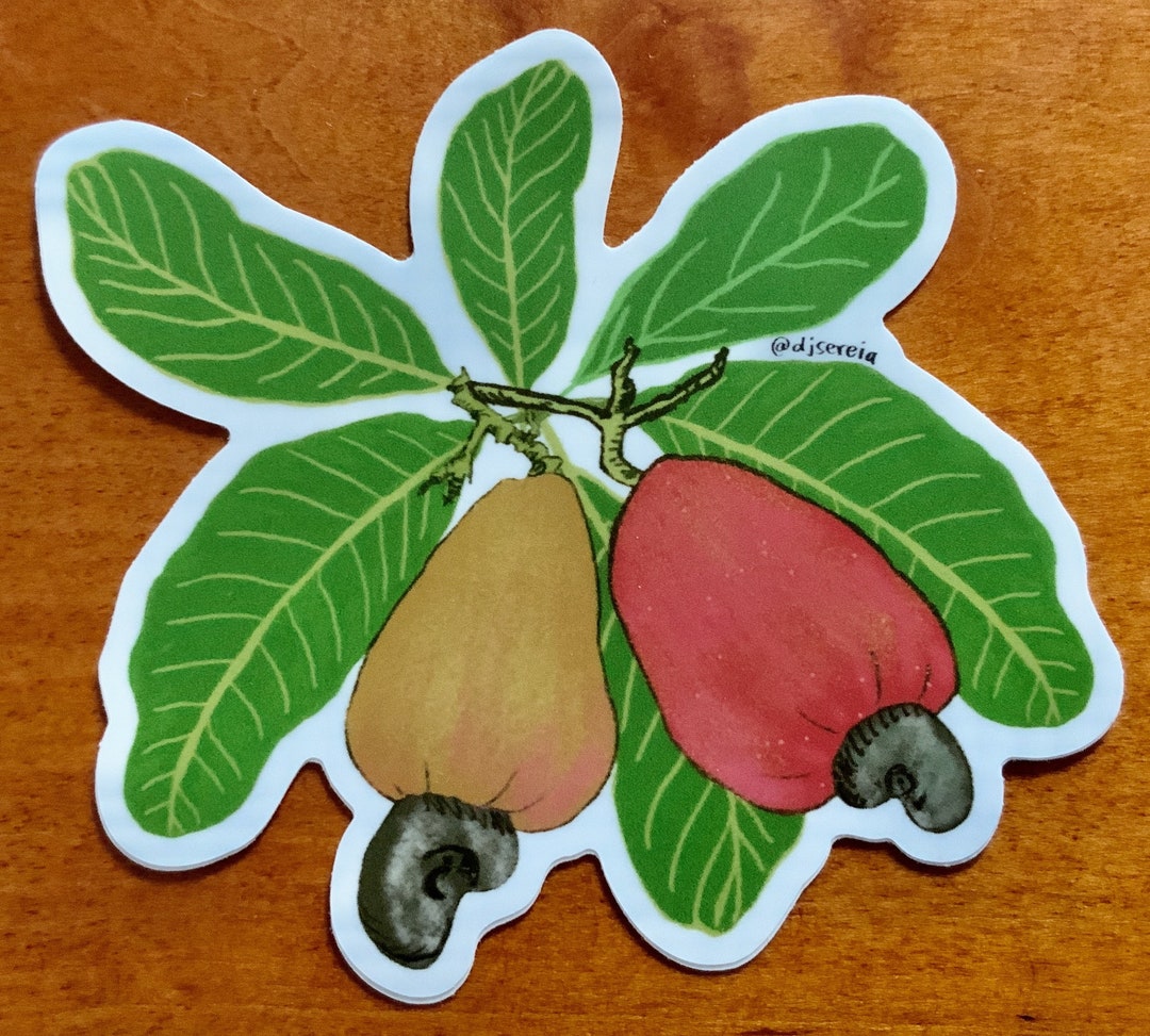 Cashew Fruit Sticker - Etsy