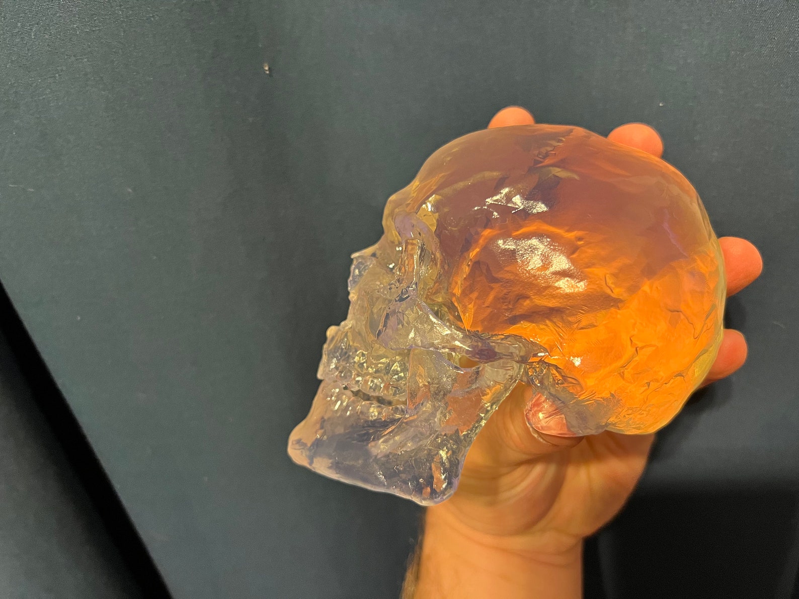 Translucent 3D Printed Skull - Etsy