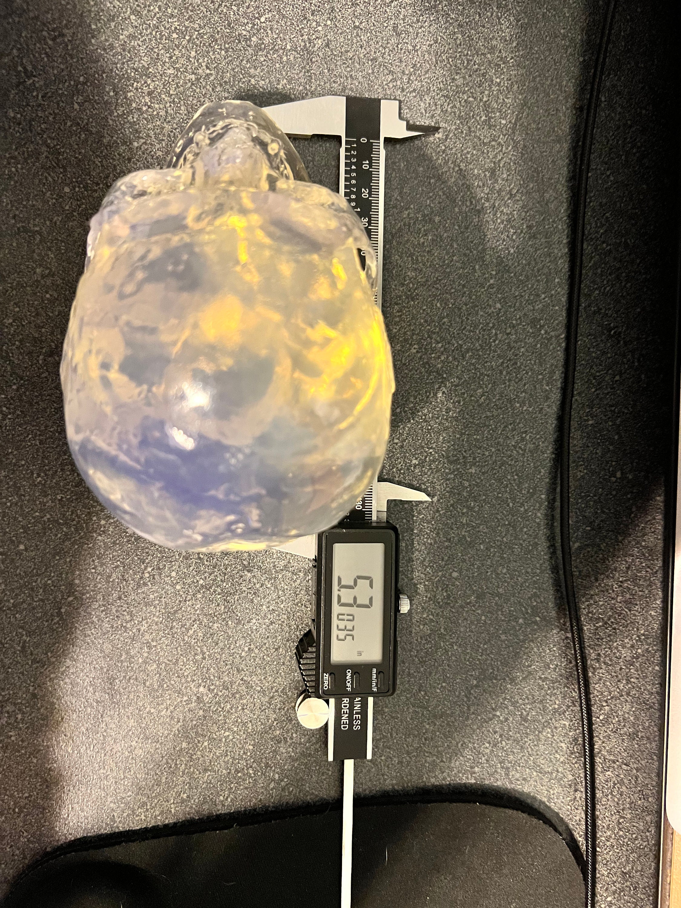 Translucent 3D Printed Skull - Etsy