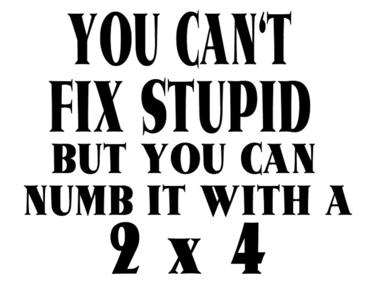 You Can't Fix Stupid PNG File - Etsy