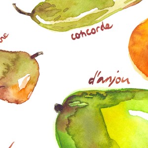 Pear Types Poster, Printable Watercolor Art, Digital Watercolour Art ...