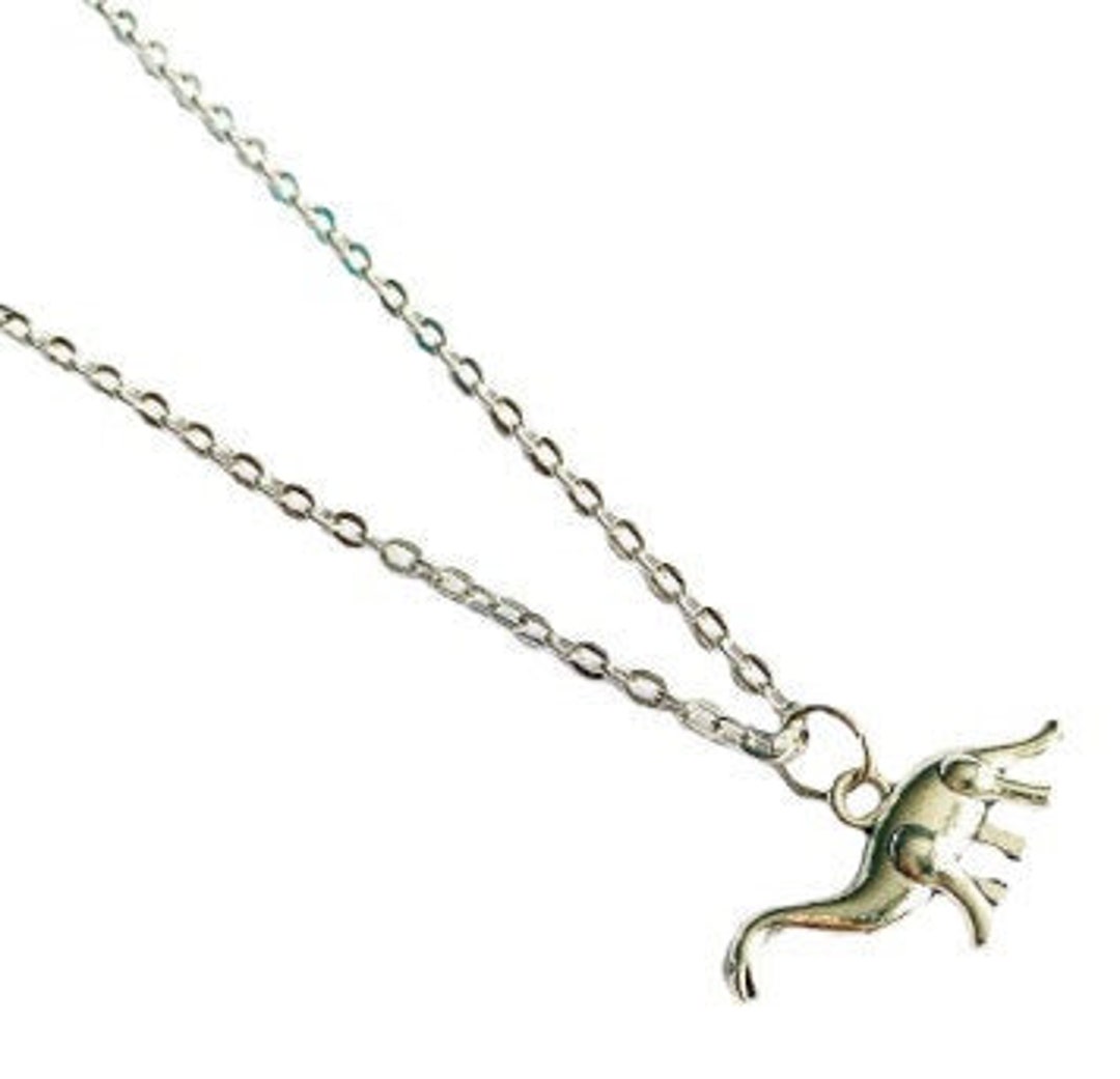 Dinosaur Jewellery, Dino Necklace, Brontosaurus, Silver Chain, Raptor ...