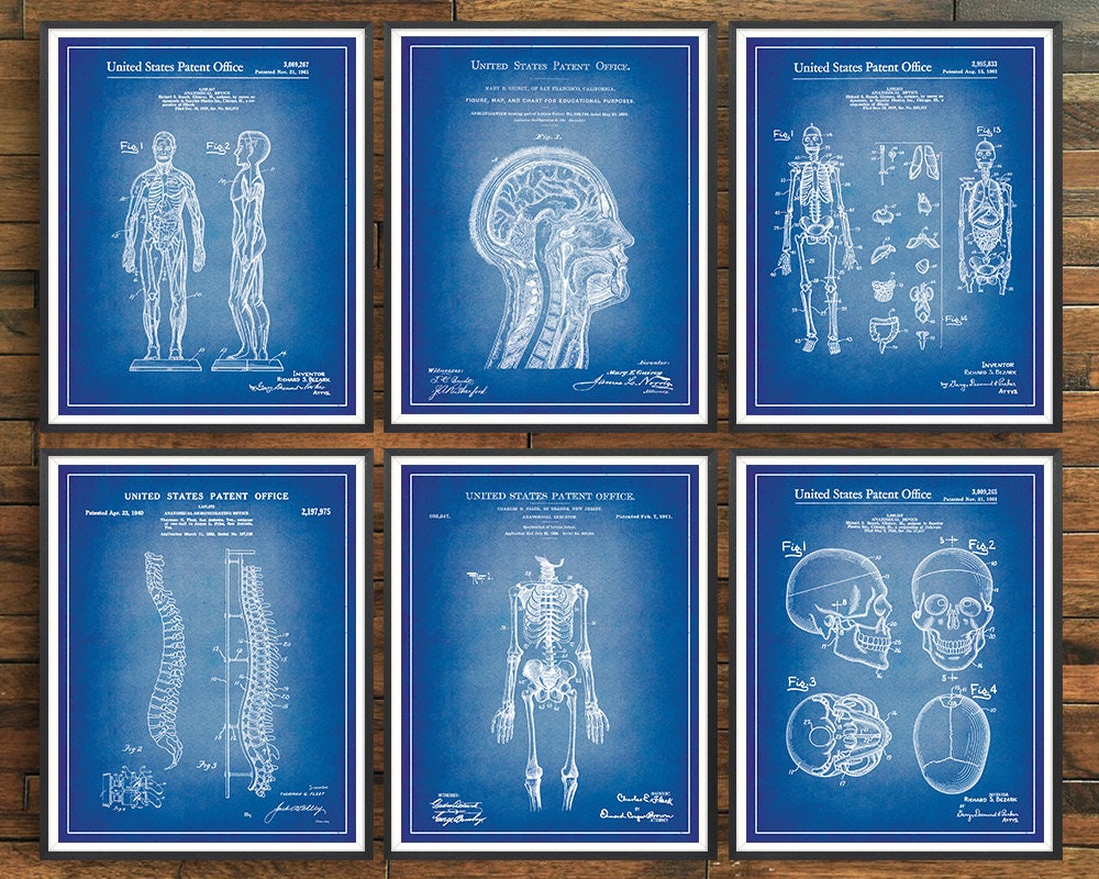 Anatomy Patent Prints Set of 6 Anatomy Human Body Art - Etsy