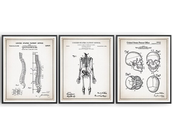 Anatomy Patent Prints Set of 3 Anatomy Human Body Art - Etsy UK