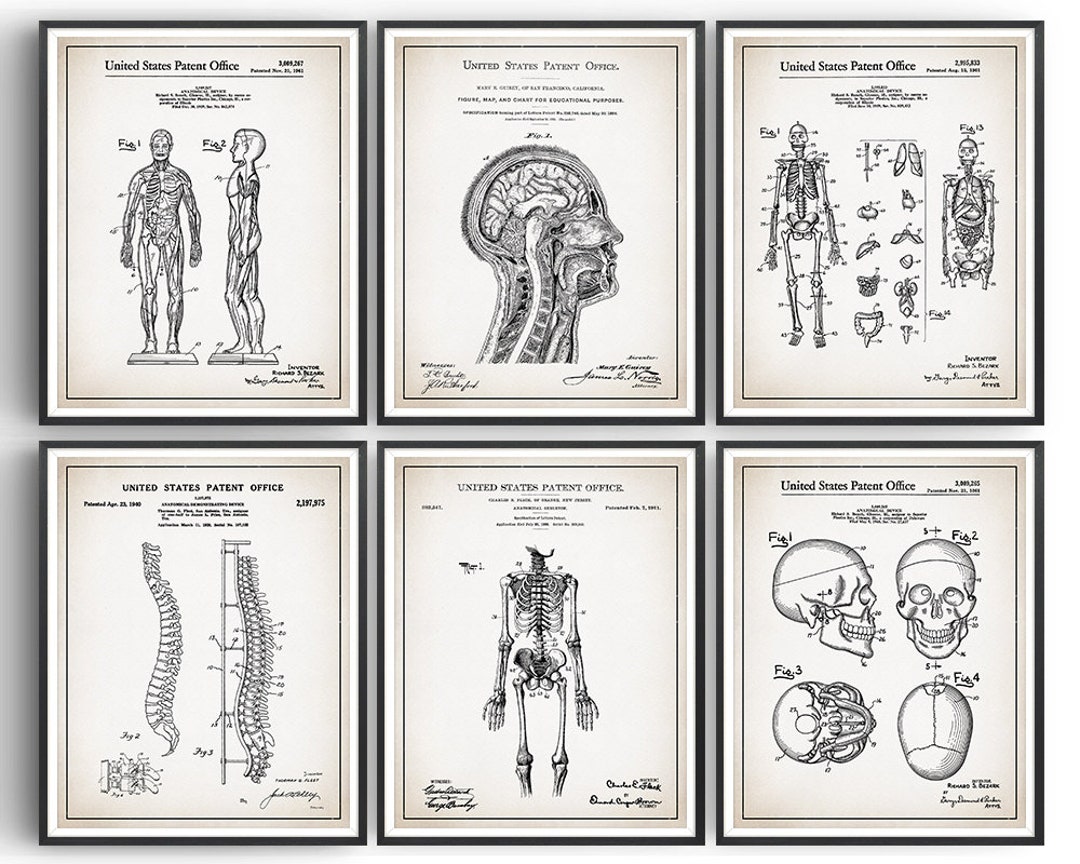 Anatomy Patent Prints Set of 6 Anatomy Human Body Art Vintage Poster ...