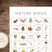 Printable Nature Bingo | Forest Scavenger Hunt - Etsy