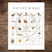 Printable Nature Bingo Forest Scavenger Hunt - Etsy