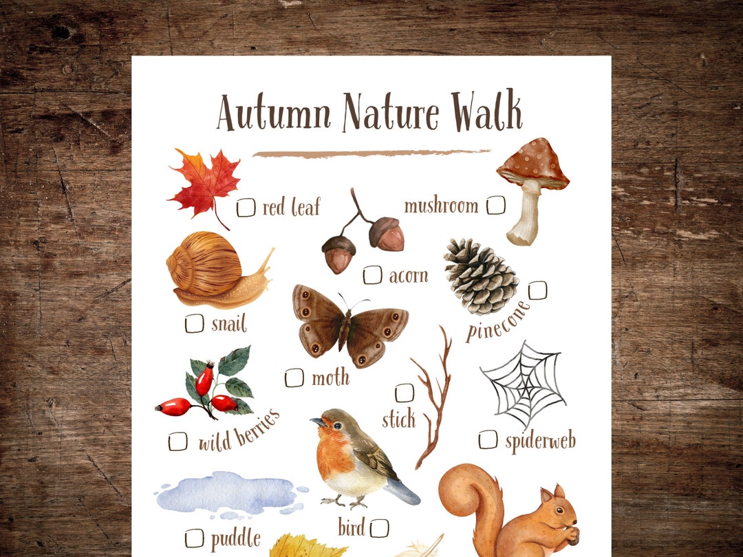 Printable Autumn Walk Scavenger Hunt Fall Forest - Etsy