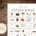 Printable Spring Nature Bingo | Forest Outdoors Scavenger Hunt - Etsy