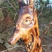 Devil, Handmade Devil, Wood Carving Devil, Split Nose Devil, Sly Devil ...