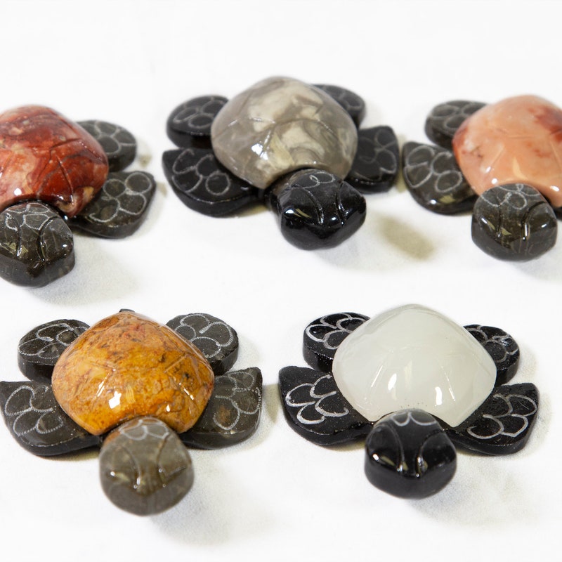 Painted Rocks Turtle - Etsy