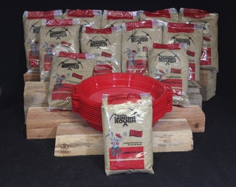 Mini Rock and Mineral Dig Kit Mini Excavation Kit: Rock & - Etsy