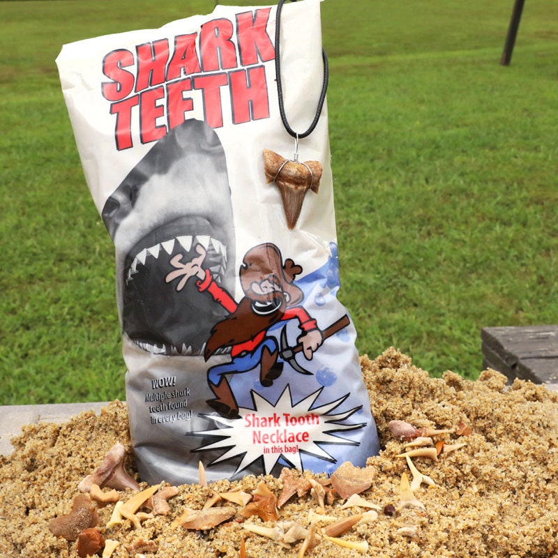 Large Shark Tooth - Etsy