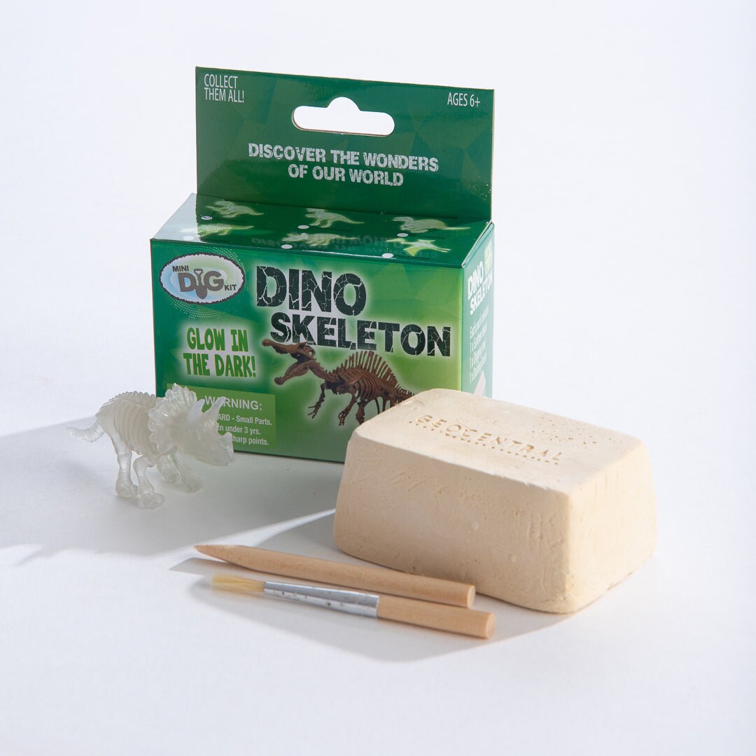 Mini Excavation Kit: Glowing Dino Skeletons - Etsy