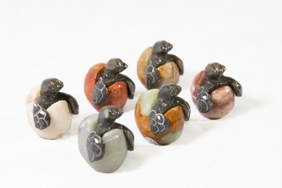 Marble Hatchling Turtle 1.5 Turtleman Foundation - Etsy