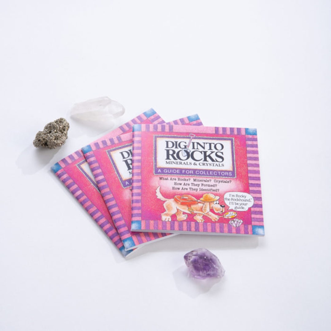 Dig Into Rocks Book - Etsy