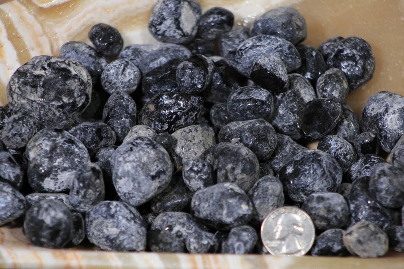 Apache Tears Top Quality Rough Natural Apache Tears | Etsy