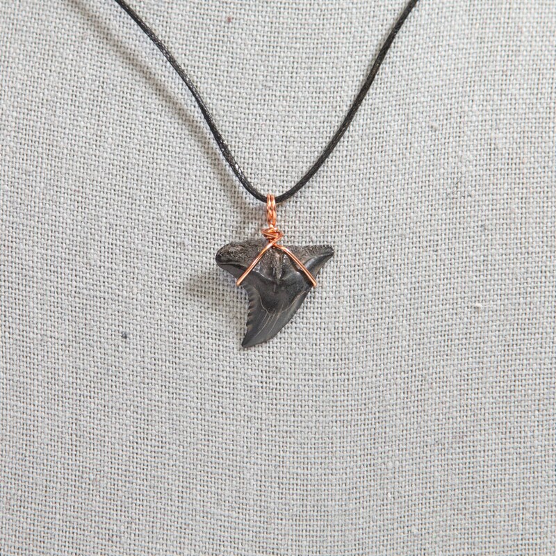 Shark Tooth Necklace - Etsy