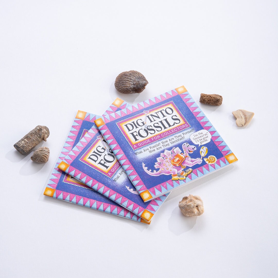 Dig Into Fossils Book - Etsy