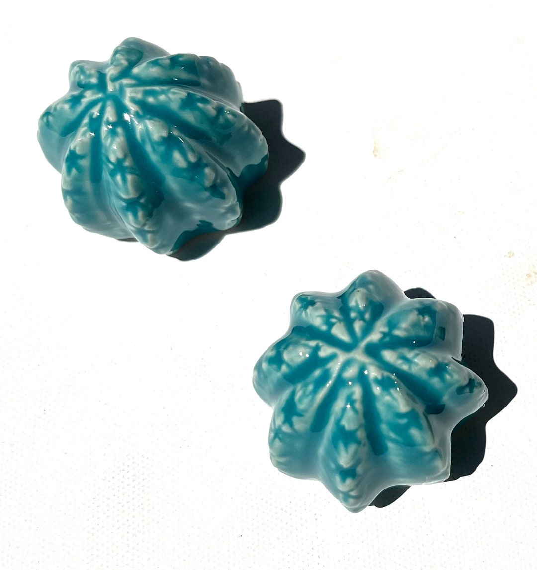 Ceramic Toilet Bolt Caps, Set of 2 Cactus in a Deep Turquoise Glaze - Etsy